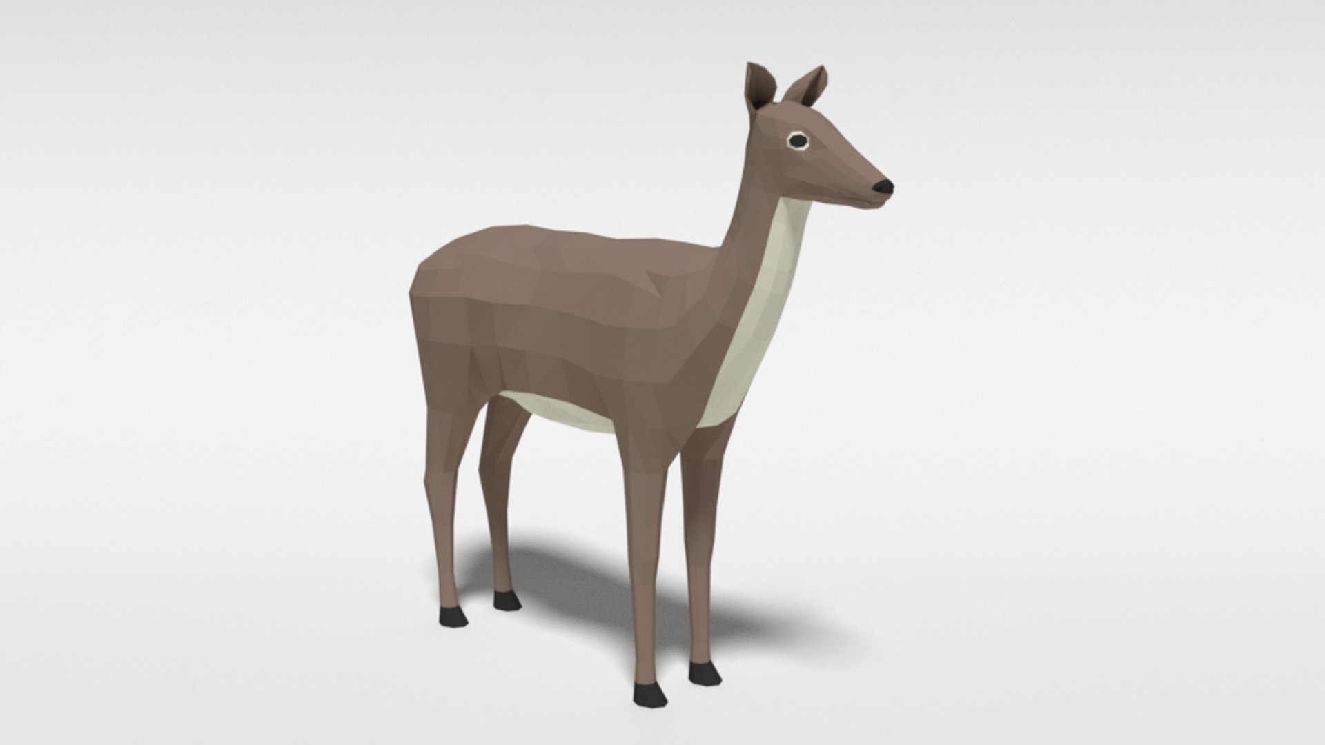 3D Female White-tailed Deer - TurboSquid 1539104