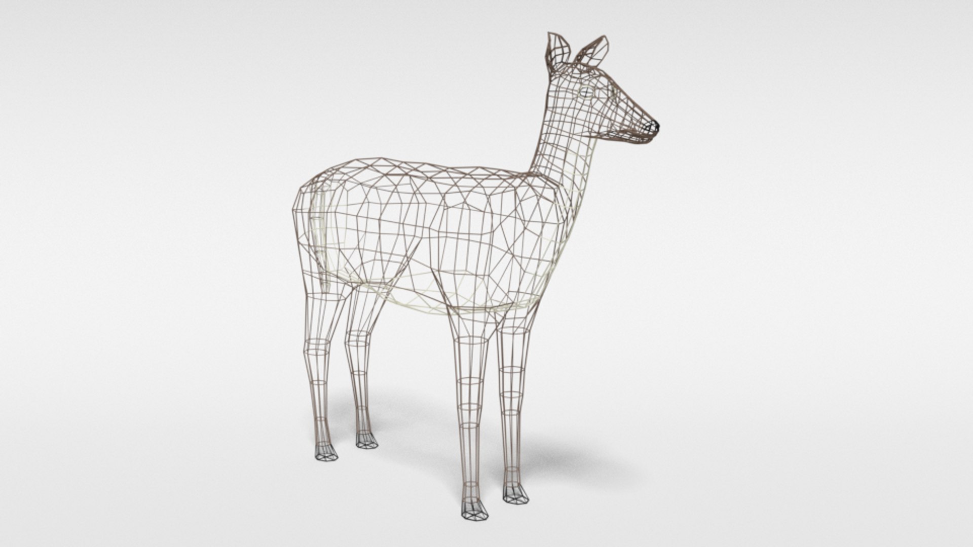 3D Female White-tailed Deer - TurboSquid 1539104