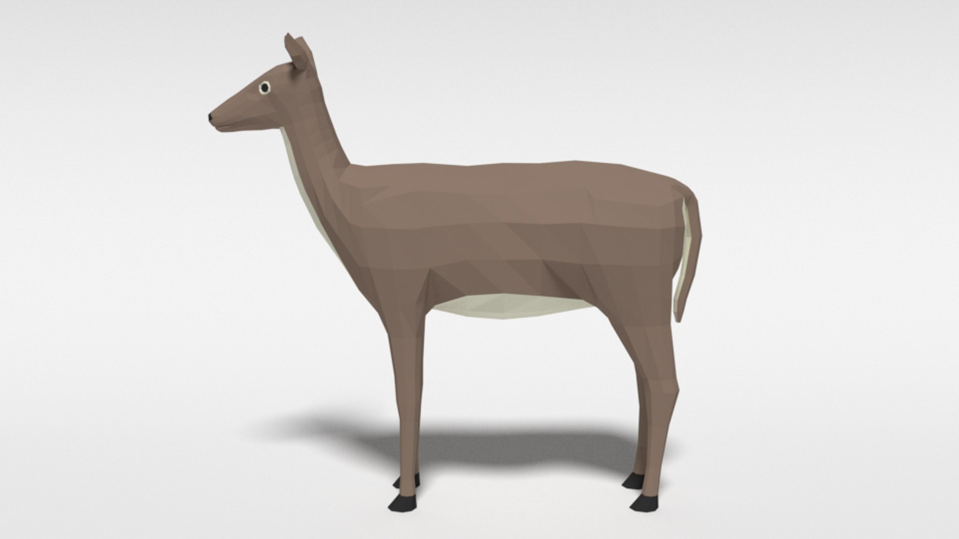 3D Female White-tailed Deer - TurboSquid 1539104