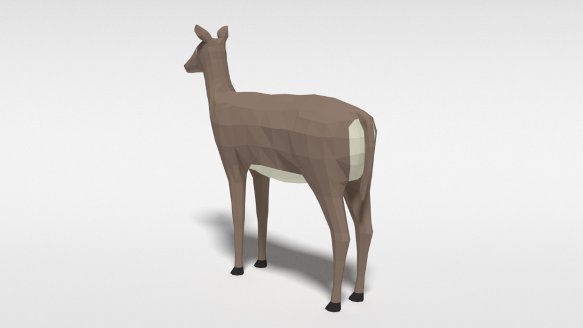 3D Female White-tailed Deer - TurboSquid 1539104