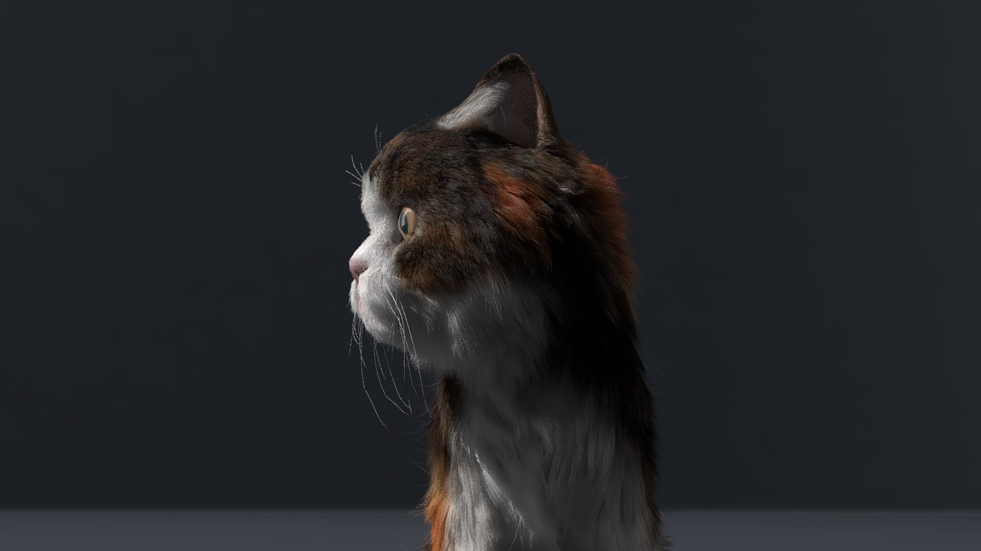 Cat Fur Animations 3D Model - TurboSquid 1492308
