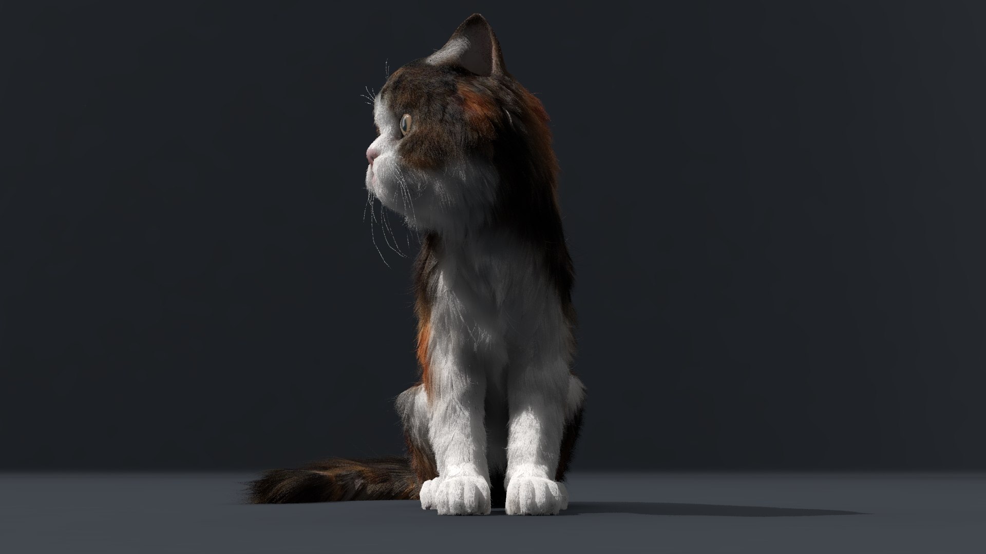 Cat Fur Animations 3D Model - TurboSquid 1492308