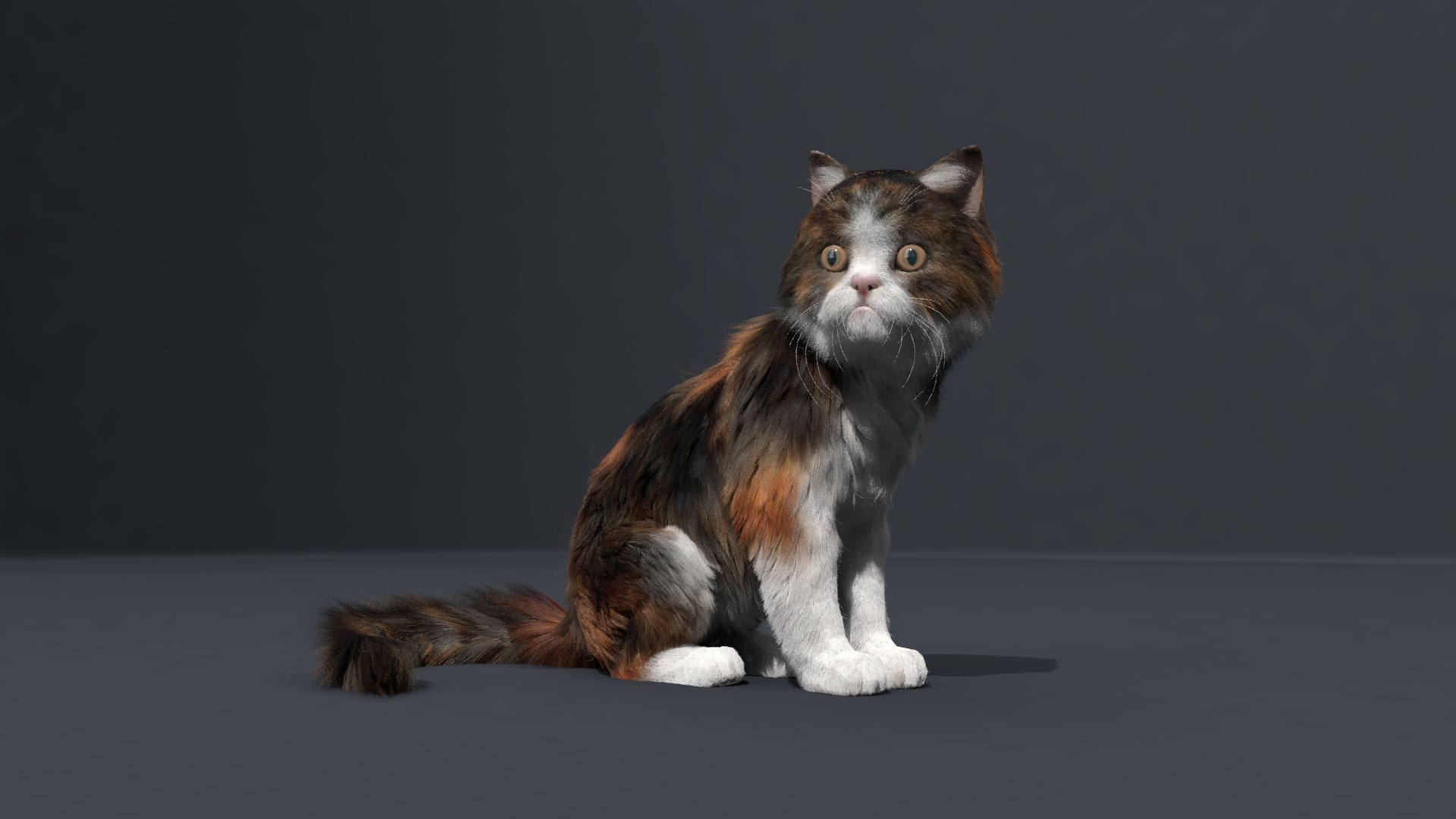 Cat fur animations 3D model - TurboSquid 1492308