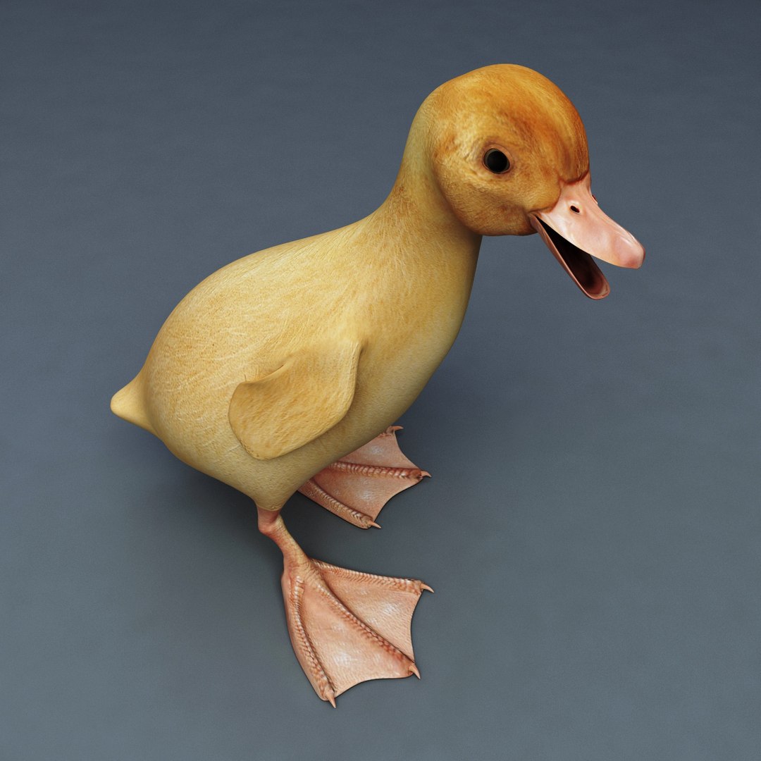 3dsmax Duckling Pose3