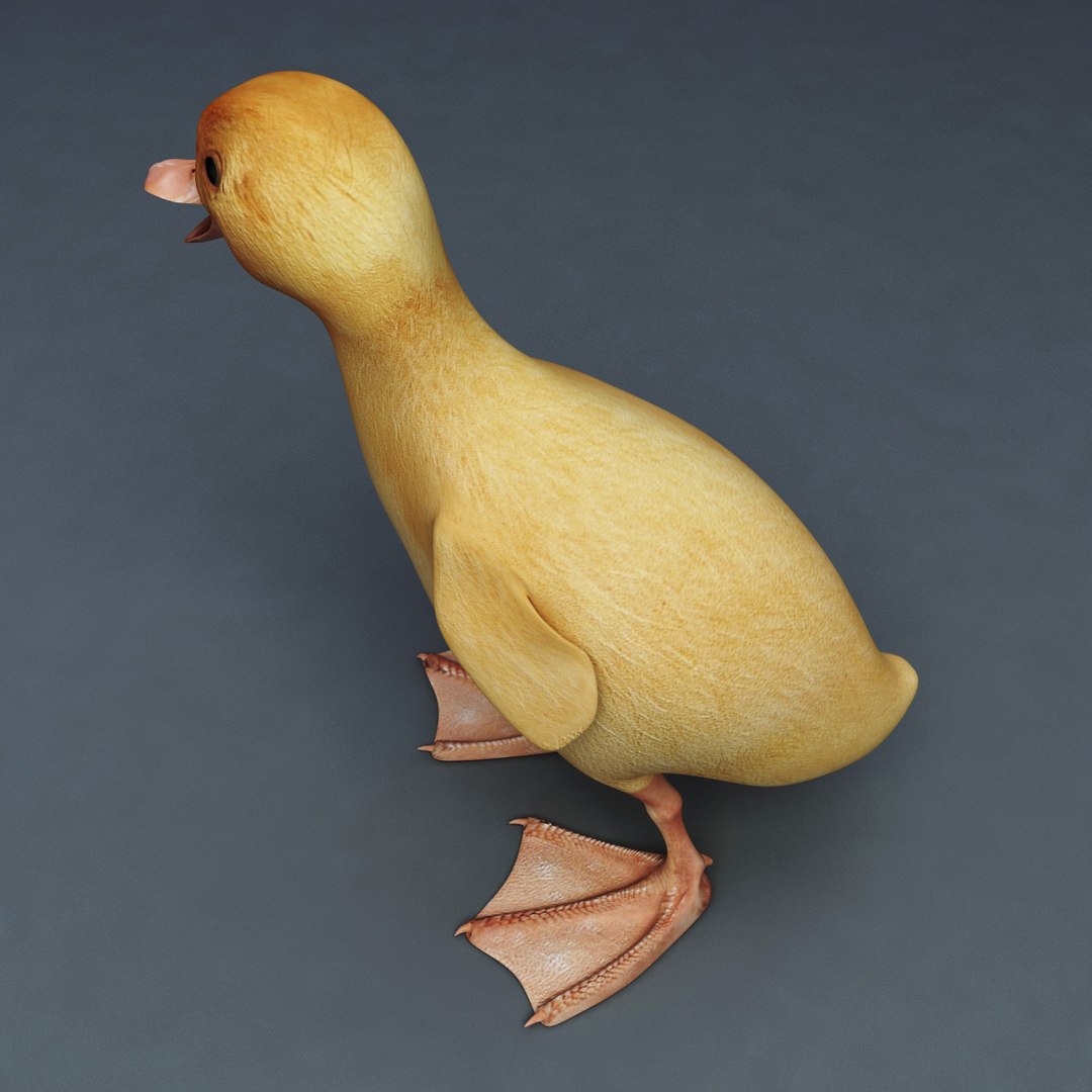 3dsmax Duckling Pose3