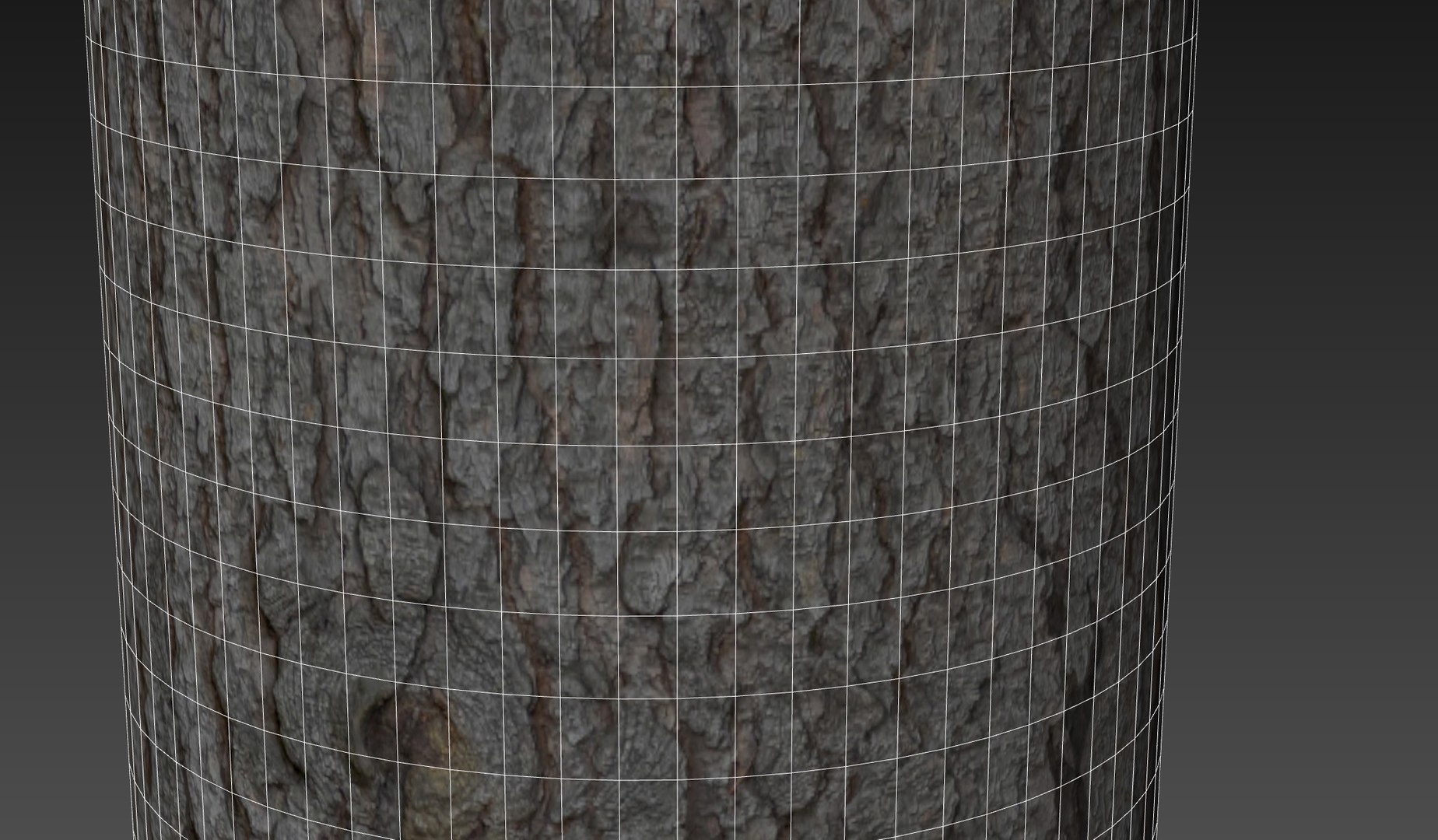 Spruce Bark 3D Model - TurboSquid 1635836