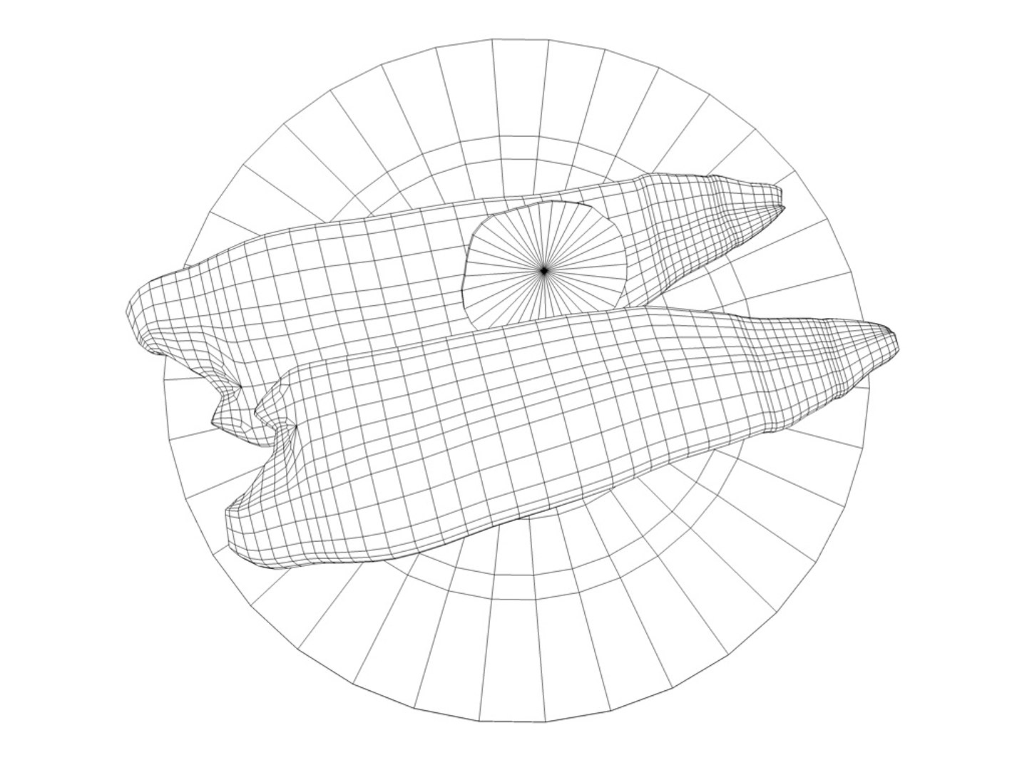 3d Model Fish Fillet