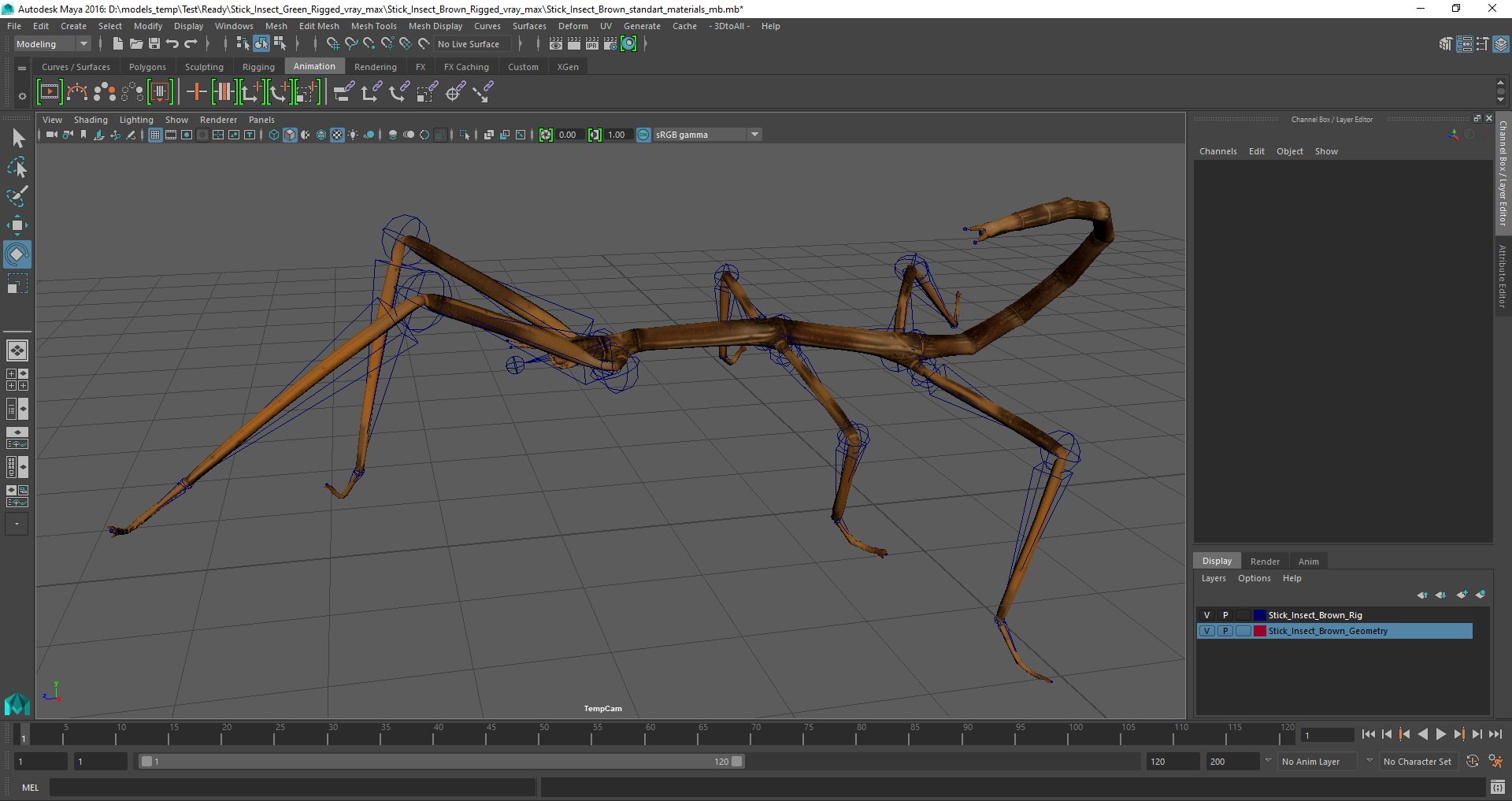 3D Model Stick Insect Brown Rigged - TurboSquid 1520343