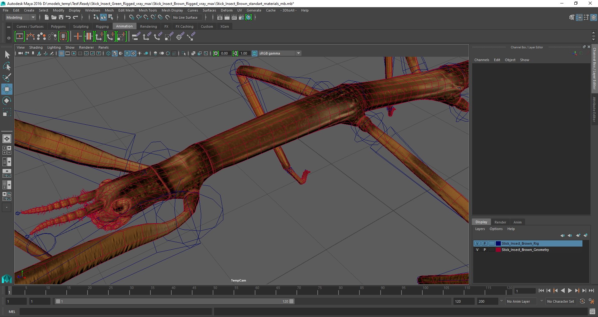 3D Model Stick Insect Brown Rigged - TurboSquid 1520343