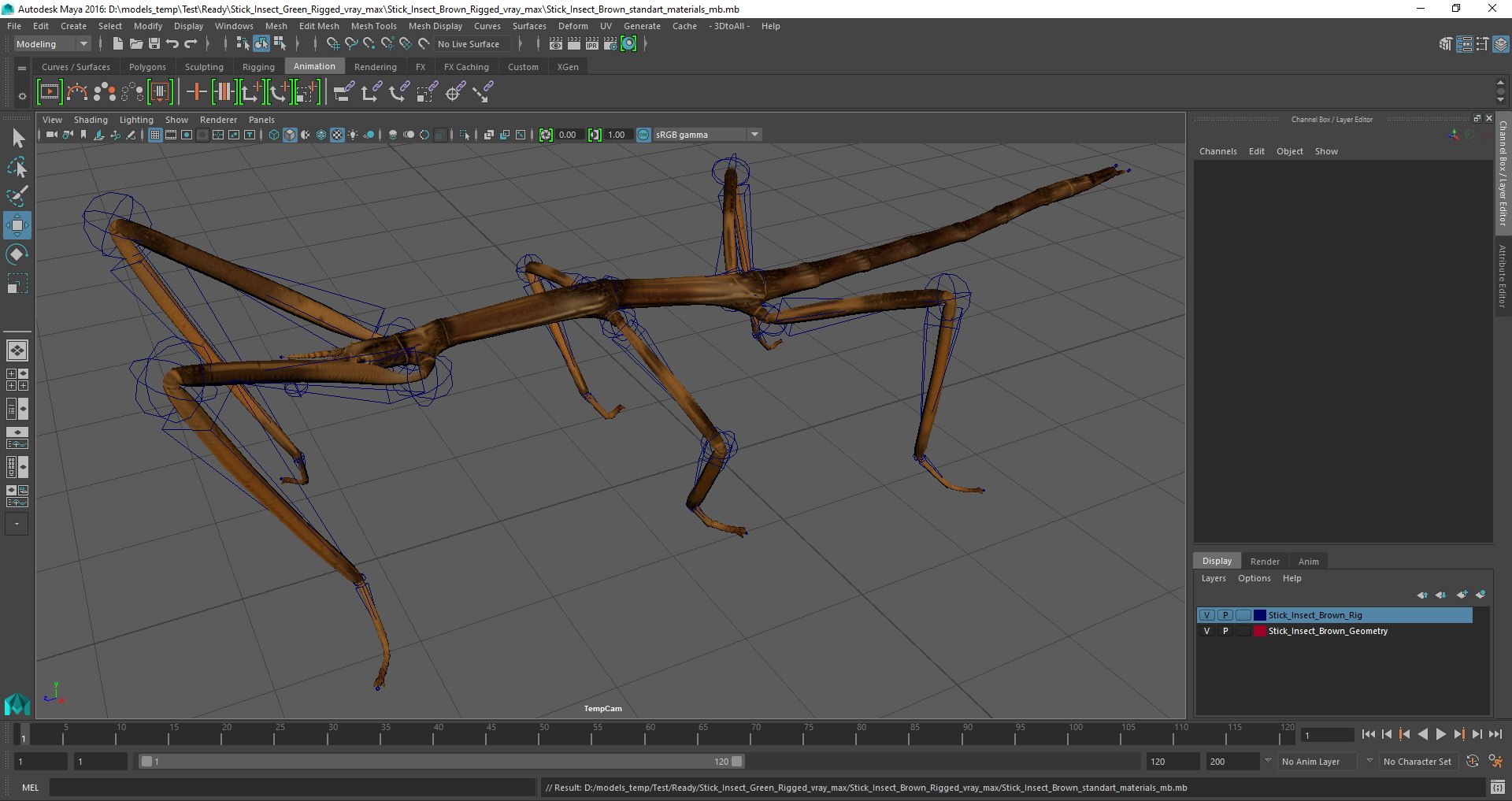 3D Model Stick Insect Brown Rigged - TurboSquid 1520343
