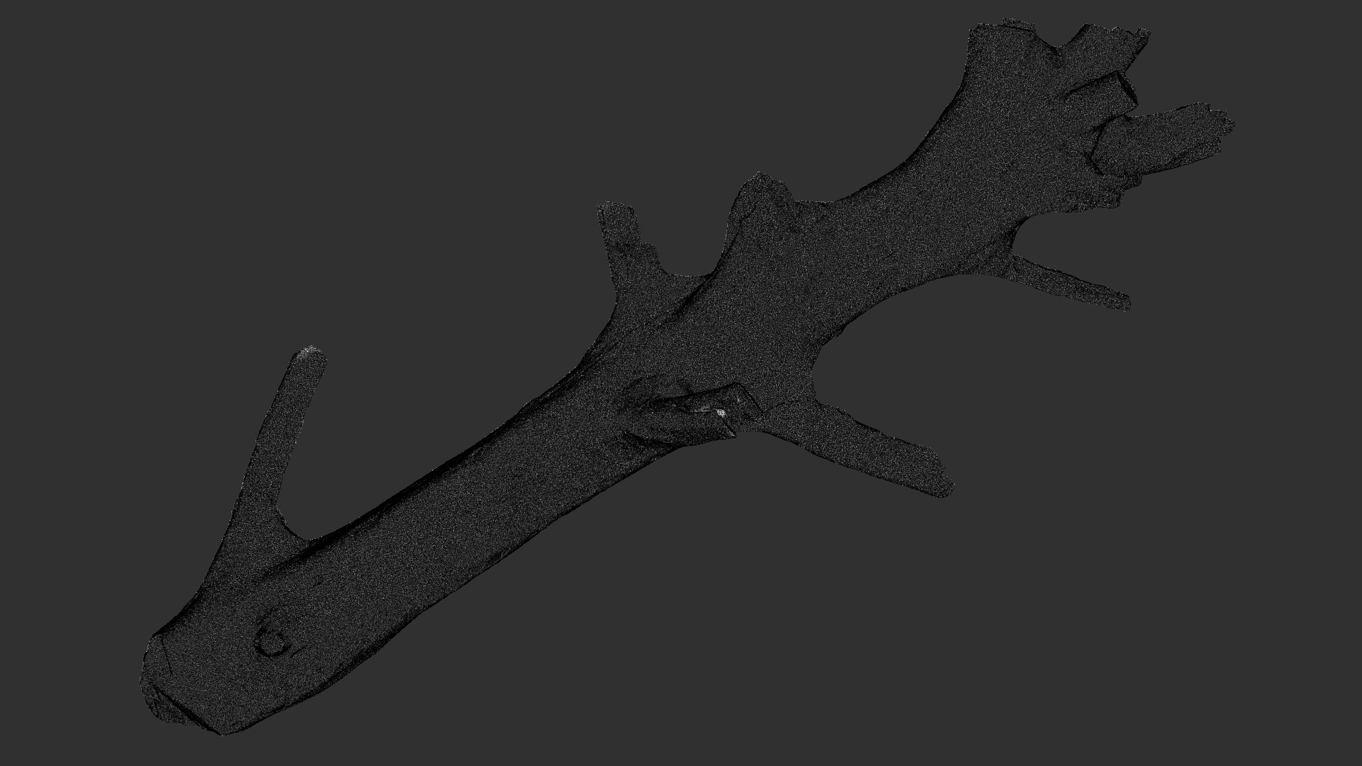 Tree trunk 3d scan 3D model - TurboSquid 2148195