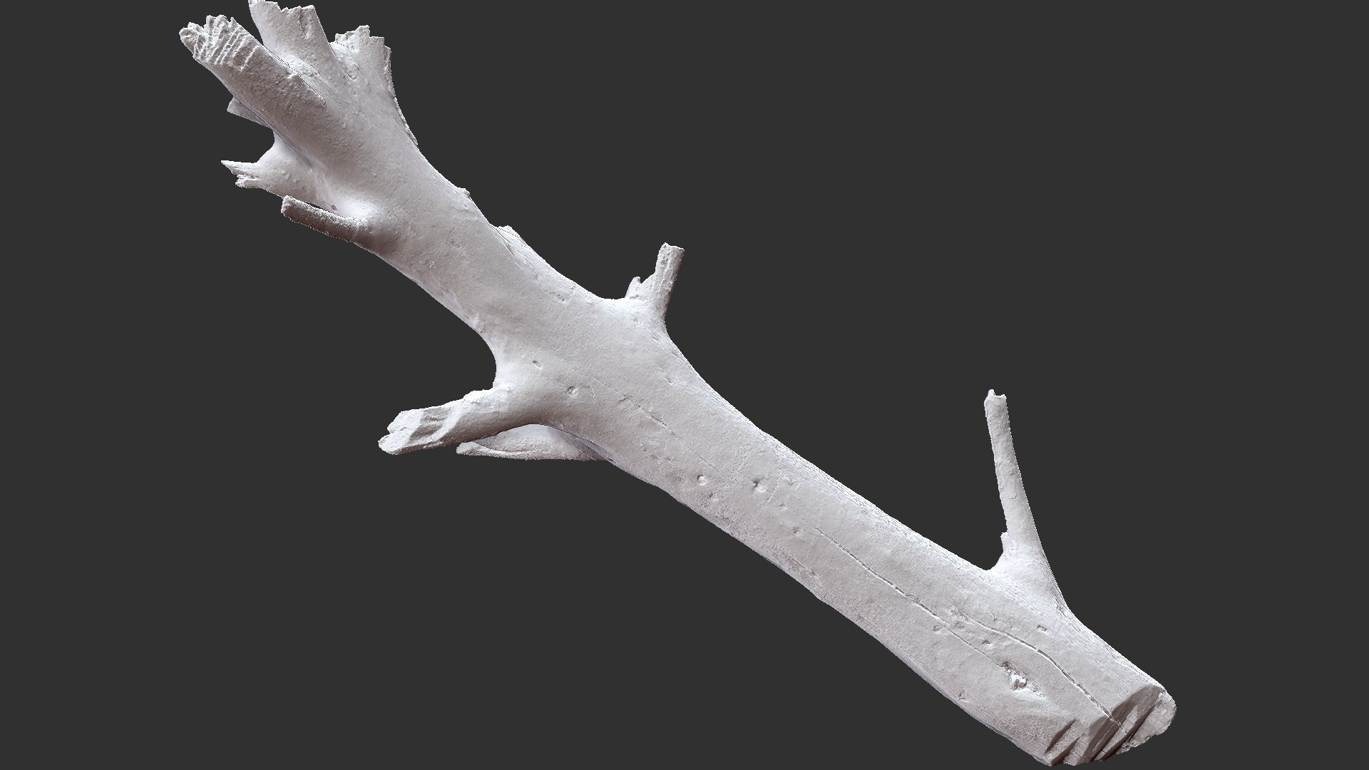 Tree trunk 3d scan 3D model - TurboSquid 2148195