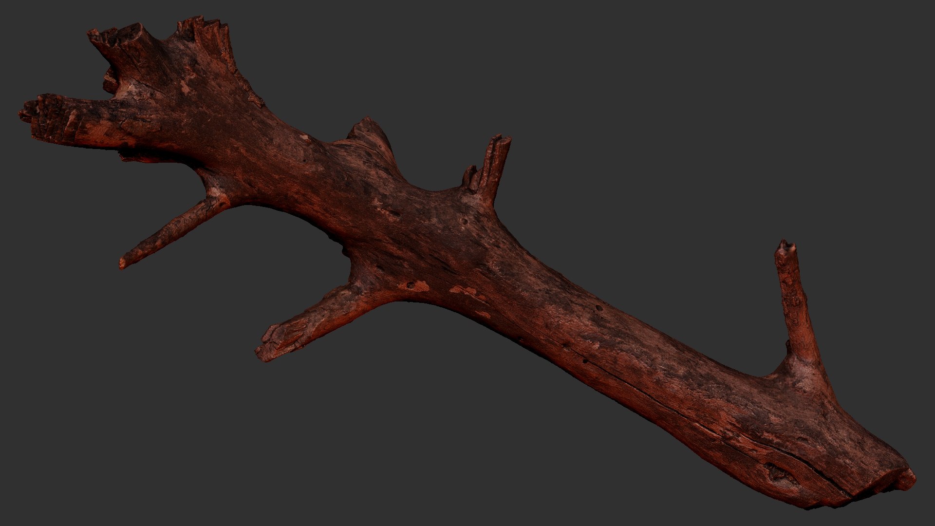 Tree Trunk 3d Scan 3D Model - TurboSquid 2148195