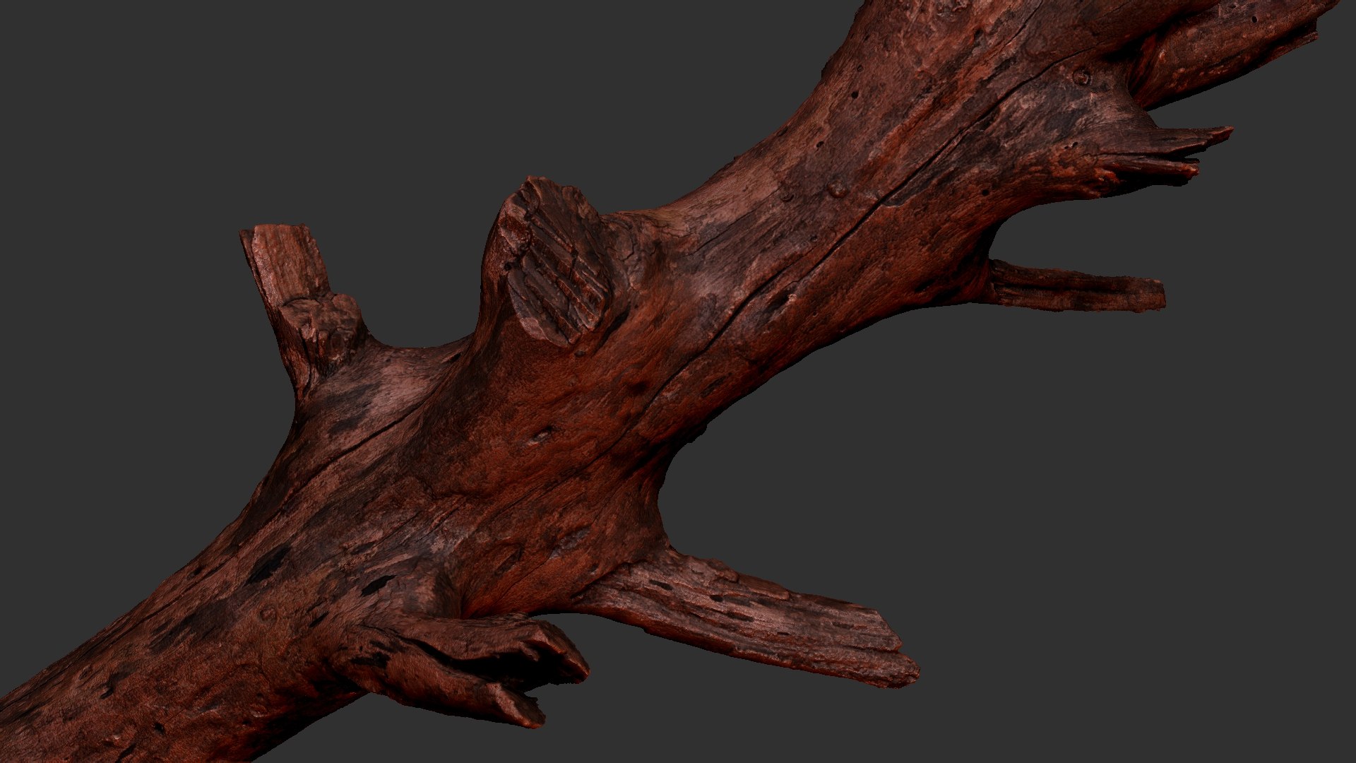 Tree Trunk 3d Scan 3D Model - TurboSquid 2148195