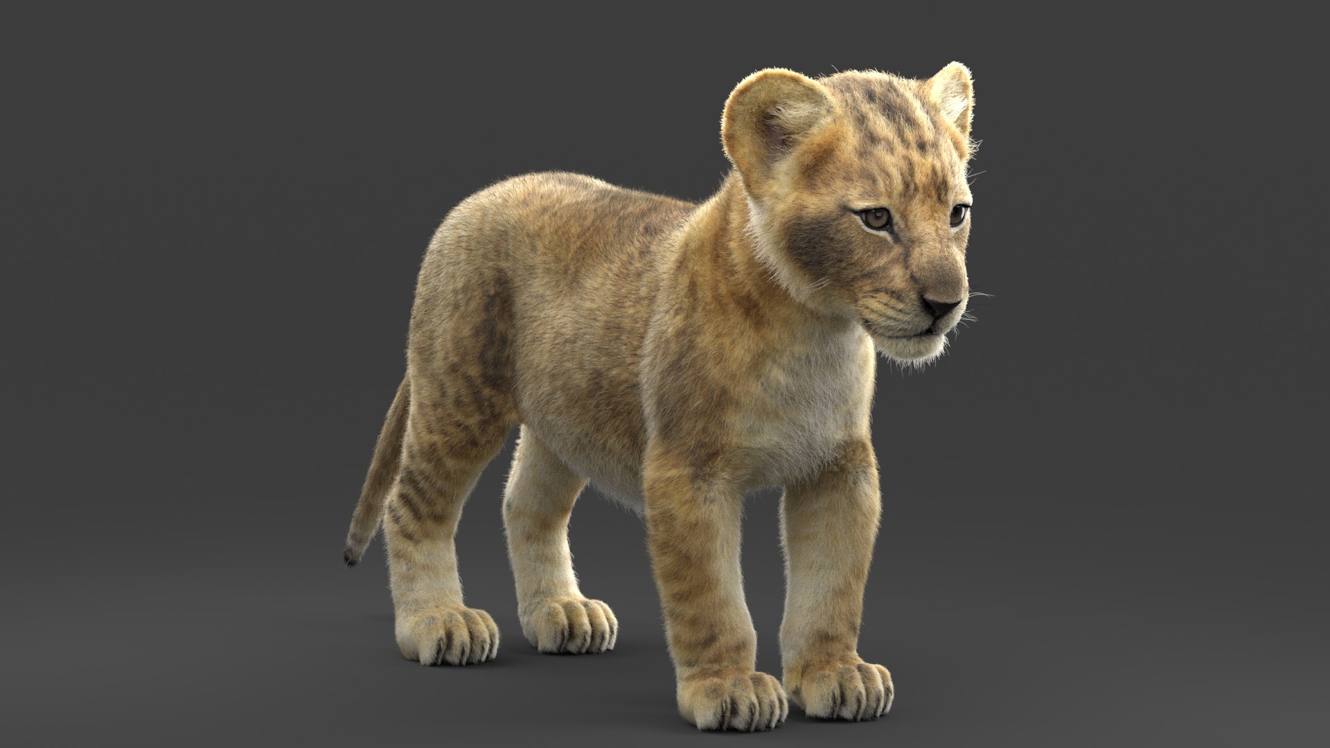 3D Model Lion Cub - TurboSquid 1427426
