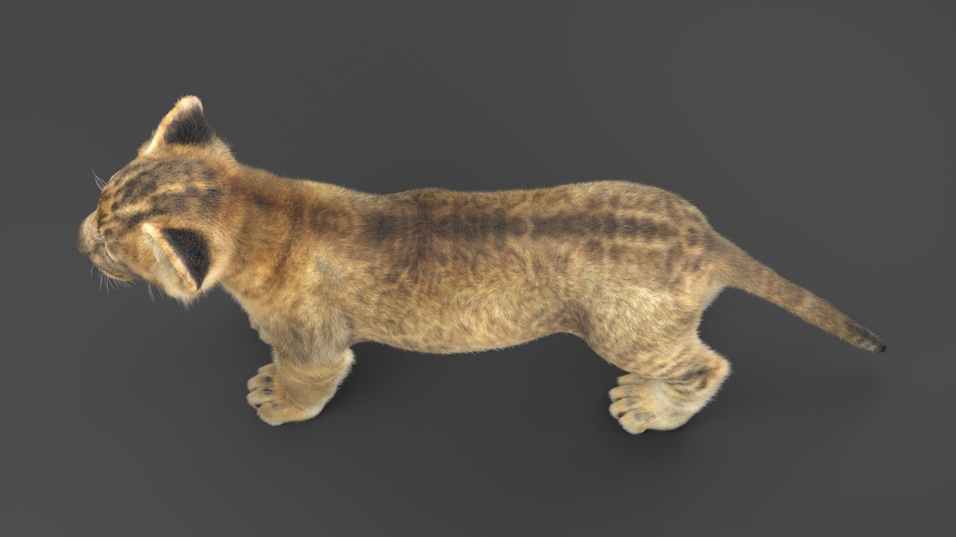 3D Model Lion Cub - TurboSquid 1427426