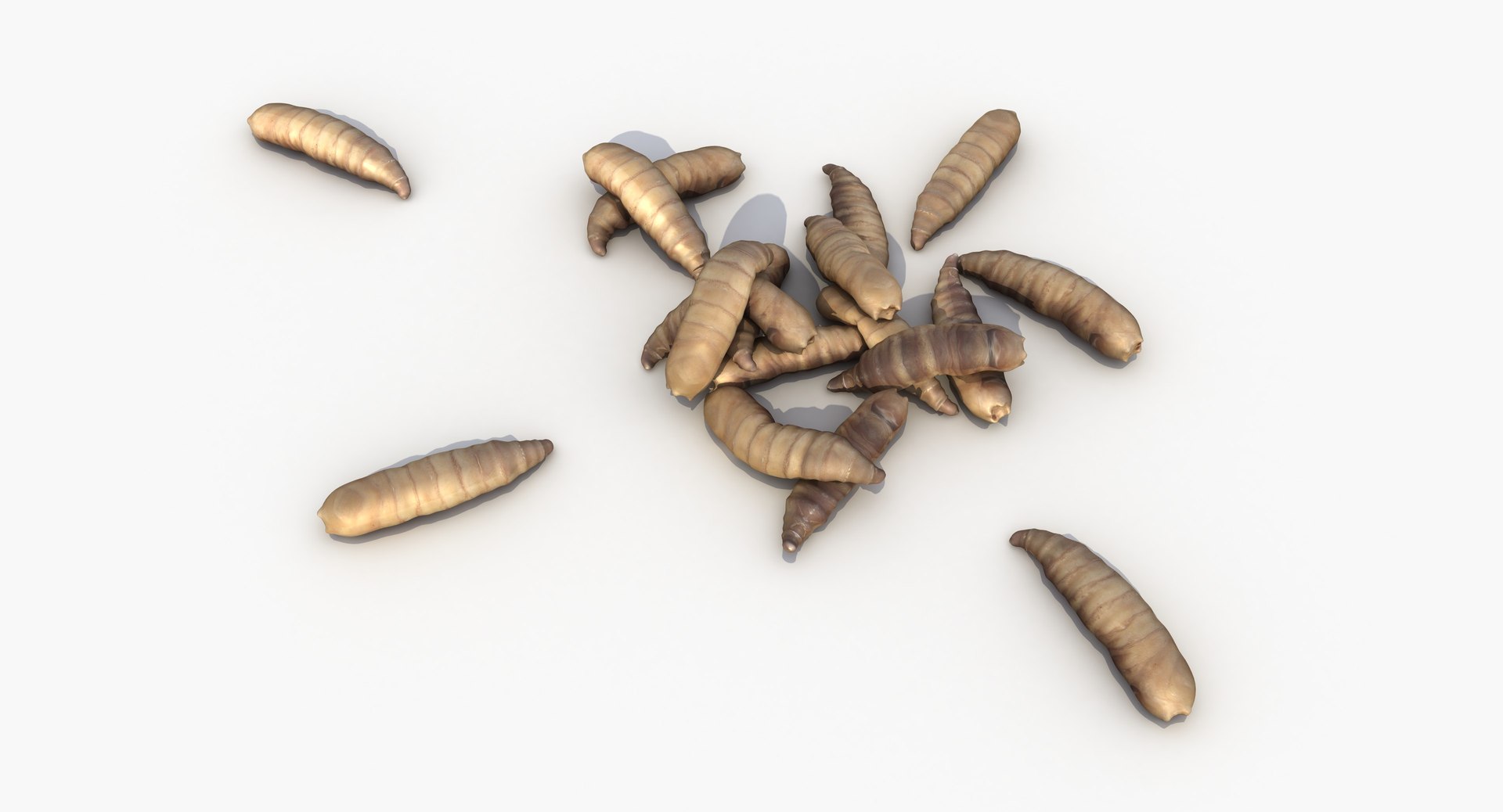 Maggots Modeled 3D Model - TurboSquid 1399515