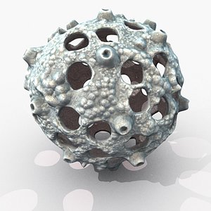 Diatom 3D Models for Download | TurboSquid