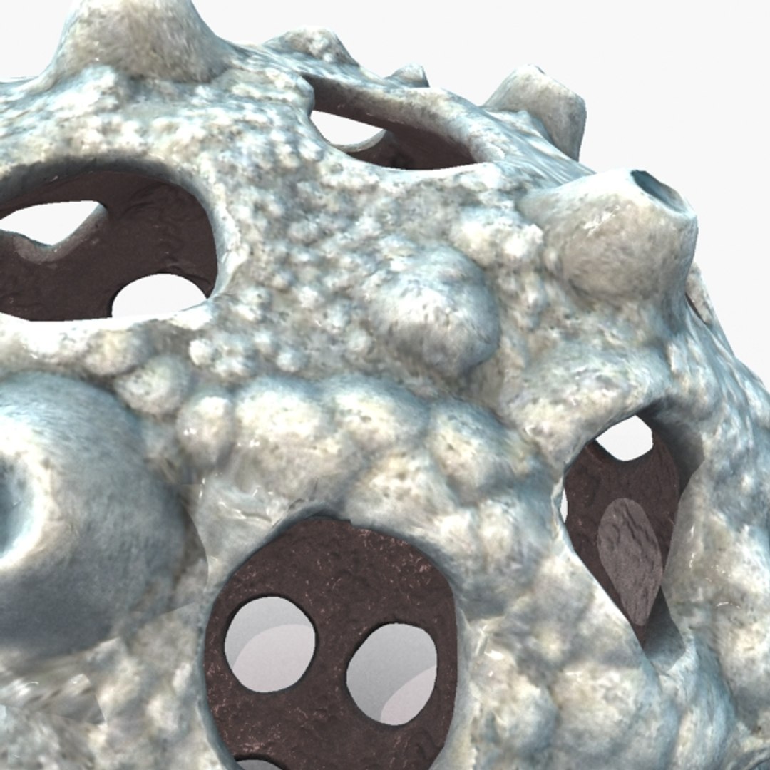 Protist Radiolarian 3d Max
