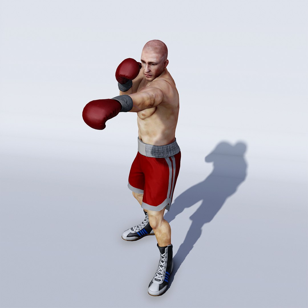 3d Boxer Animation Motion