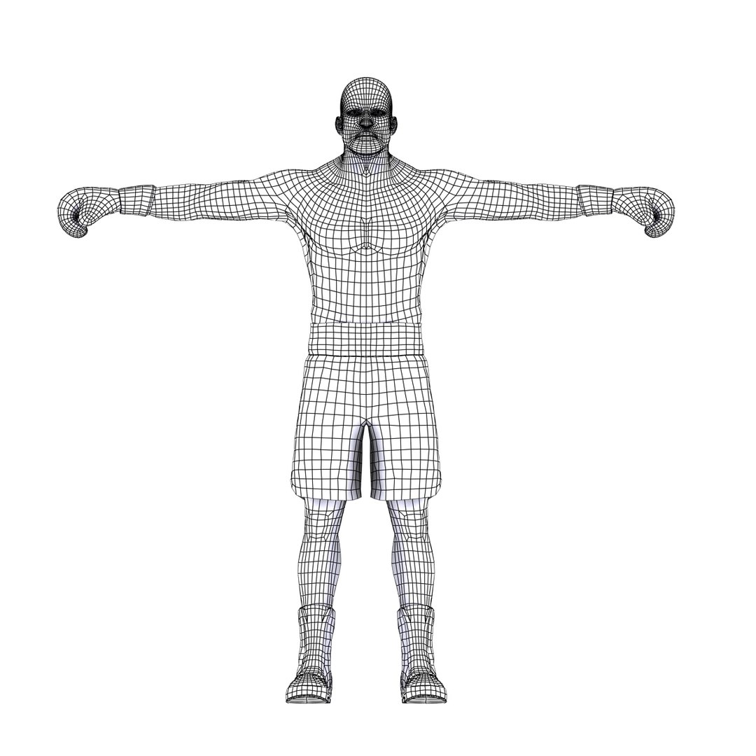 3d Boxer Animation Motion