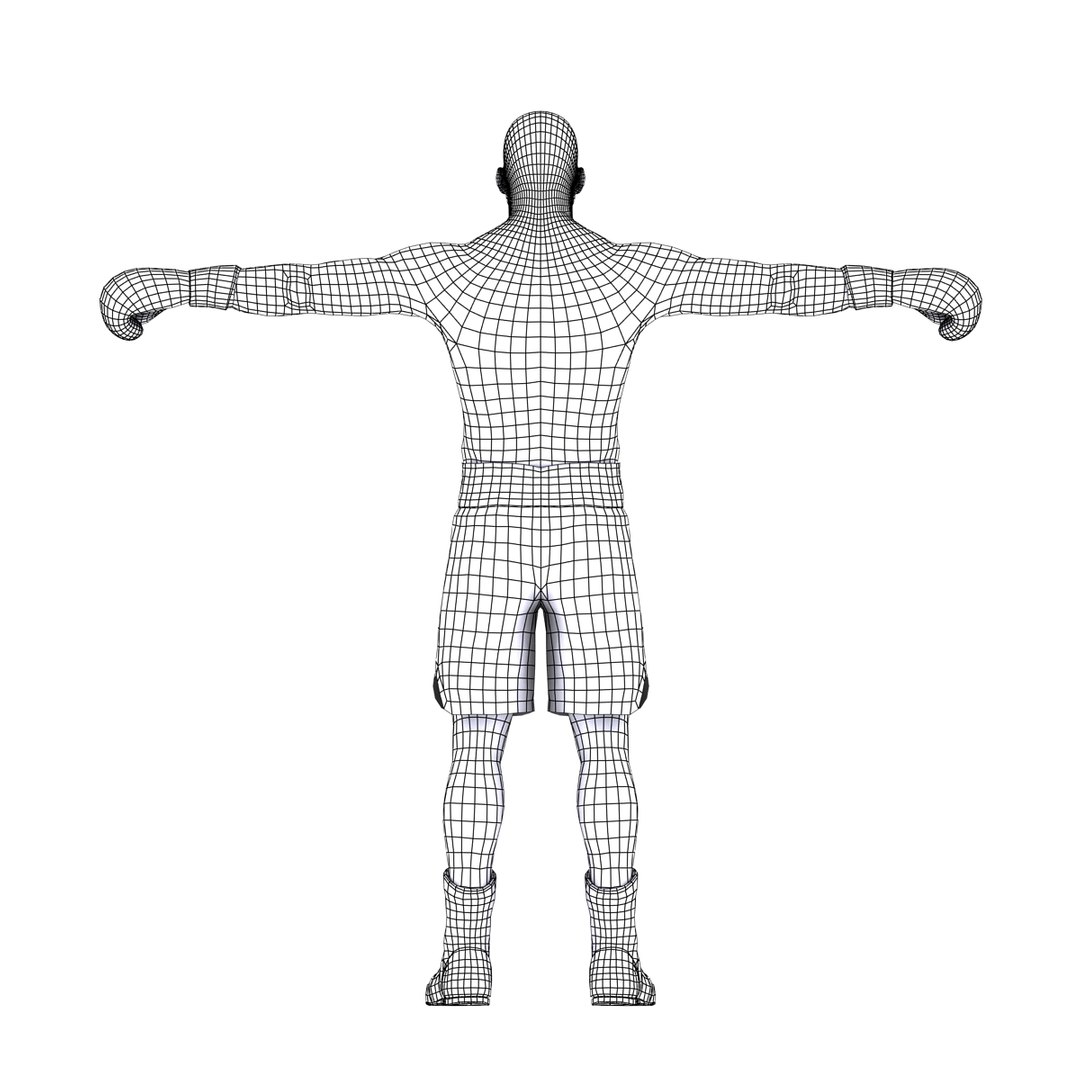 3d Boxer Animation Motion