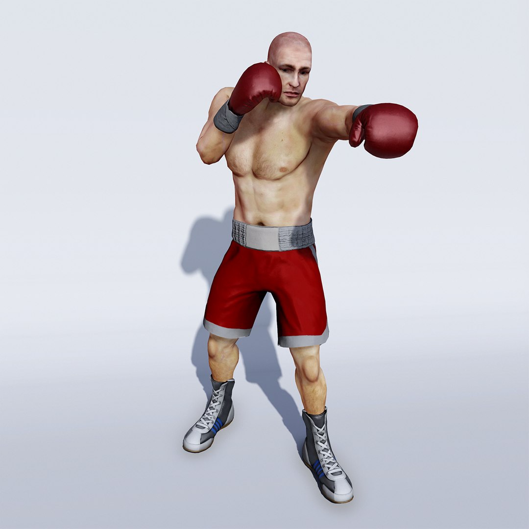3d Boxer Animation Motion