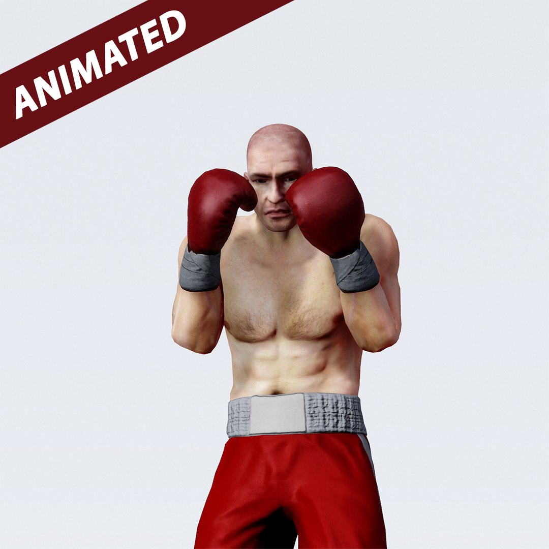 3d Boxer Animation Motion