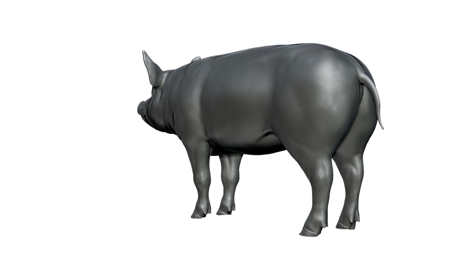 3D Pig - TurboSquid 2279046