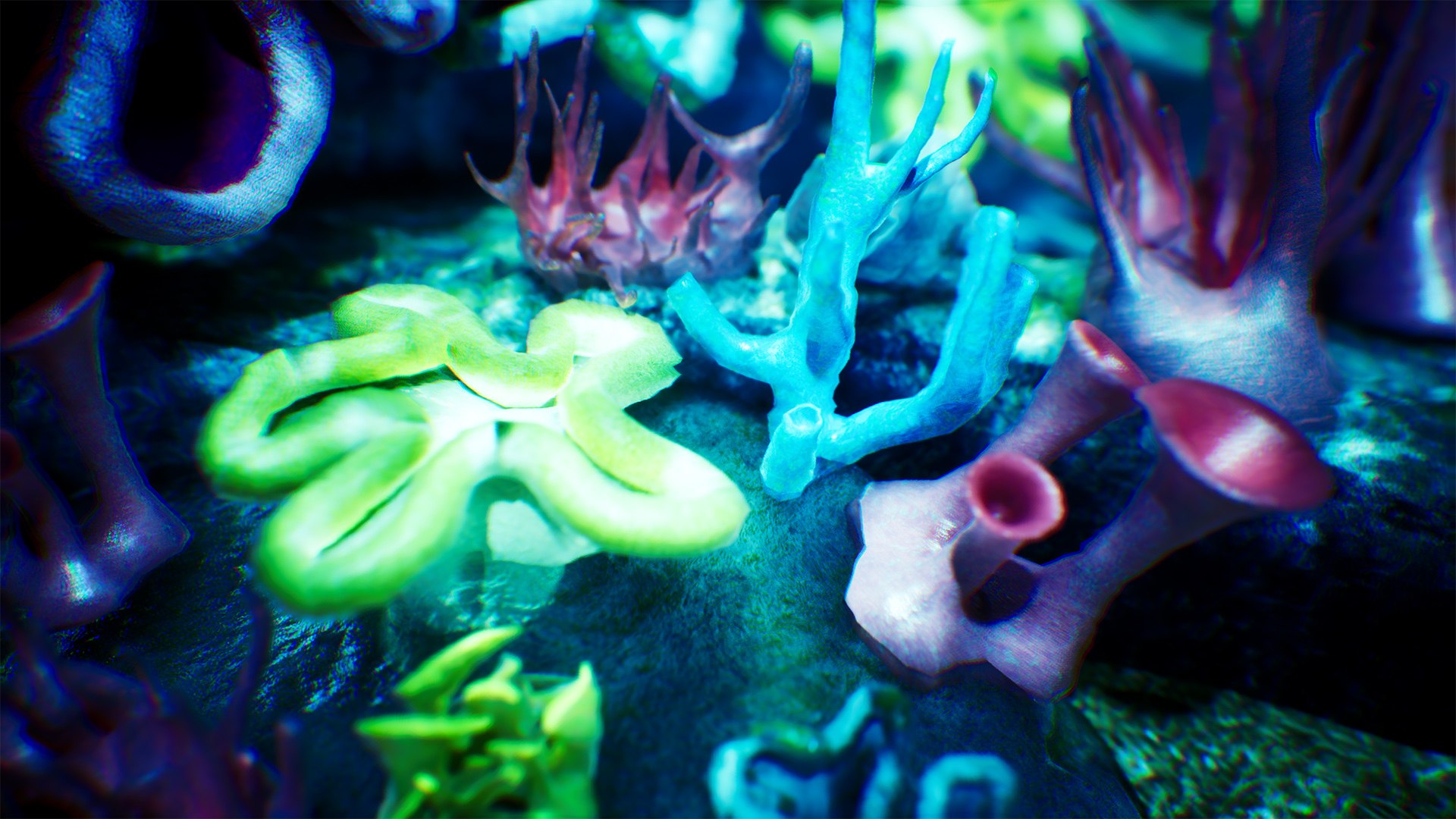 Coral Props 40 Assets 3D Model - TurboSquid 1983753