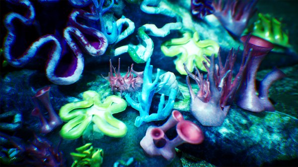 modèle 3D de Accessoires de corail 40 atouts - TurboSquid 1983753