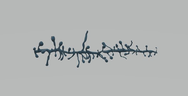 3D Dendrite Models | TurboSquid