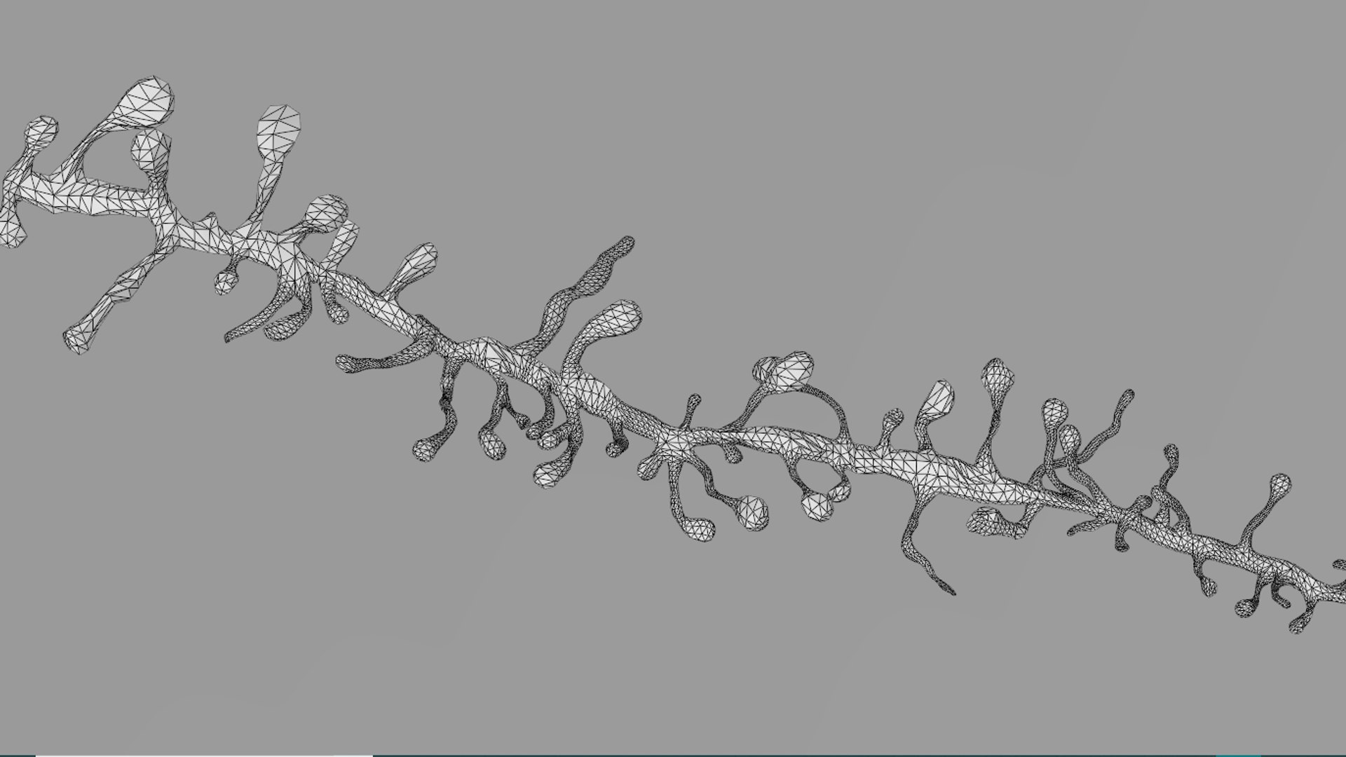 3D Dendritic Shaft Model - TurboSquid 1348395