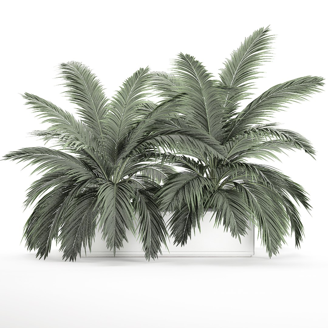 3D Decorative Palm Model - TurboSquid 1618108
