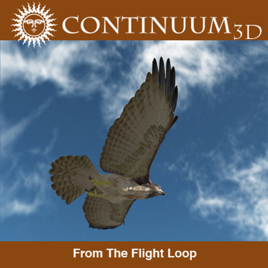 3d Red Tailed Hawk