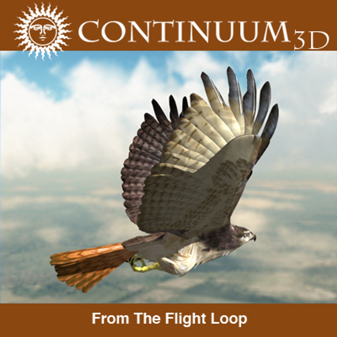3d Red Tailed Hawk
