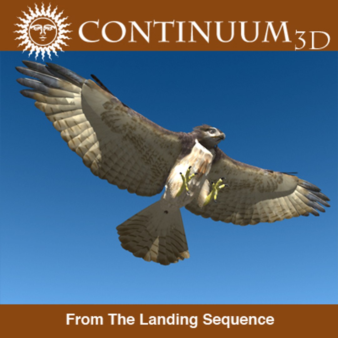 3d Red Tailed Hawk