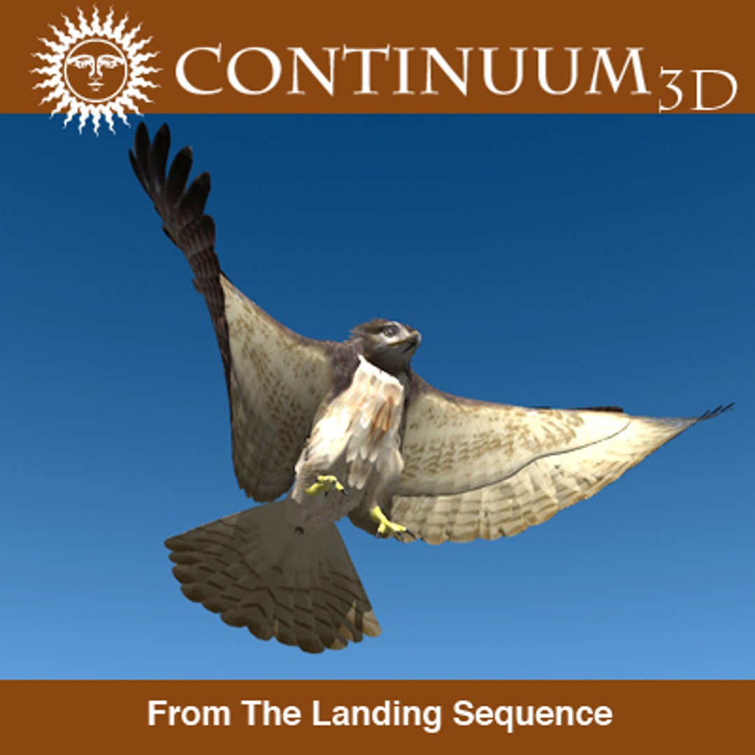 3d Red Tailed Hawk