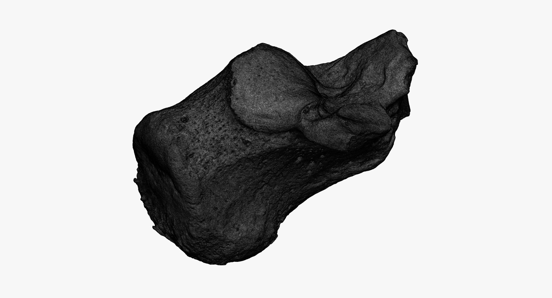 Calcaneus Bone 01 Raw 3D Model - TurboSquid 1533744