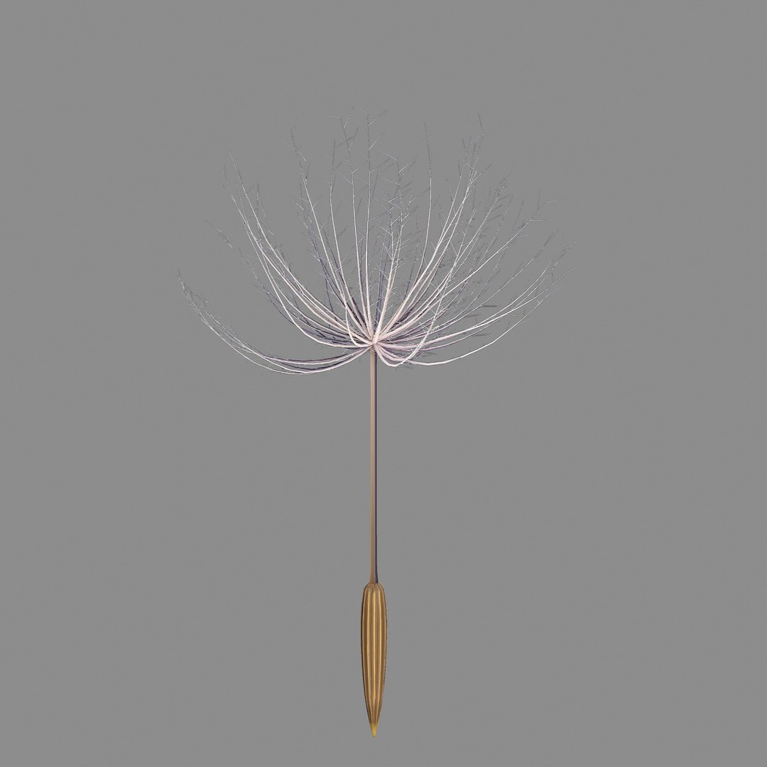 3D Dandelion V1 - TurboSquid 1911042