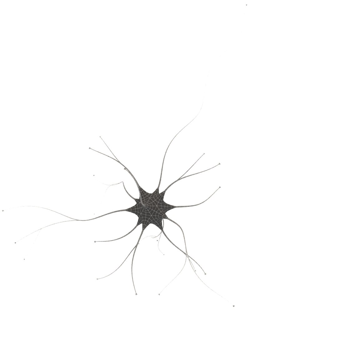 Neuron Cell Animation Ready 3d Model