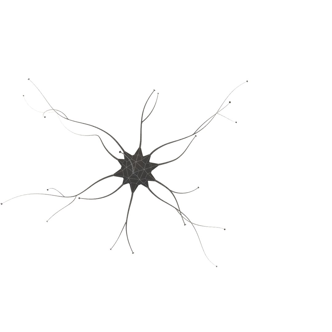 Neuron Cell Animation Ready 3d Model