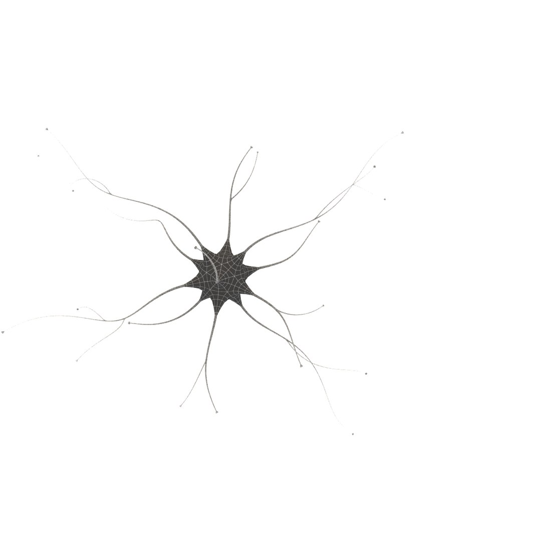 Neuron Cell Animation Ready 3d Model