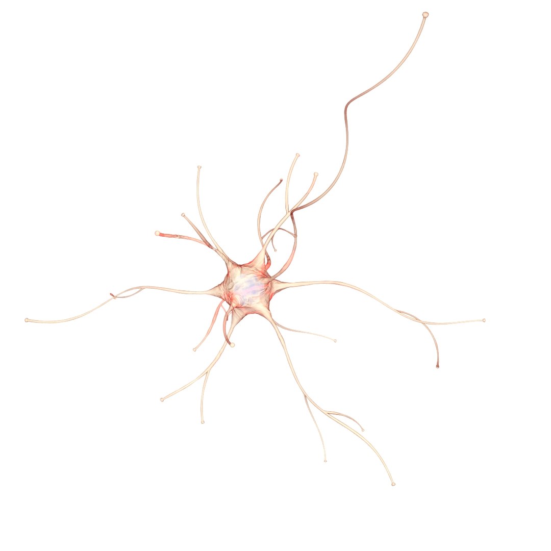 Neuron Cell Animation Ready 3d Model