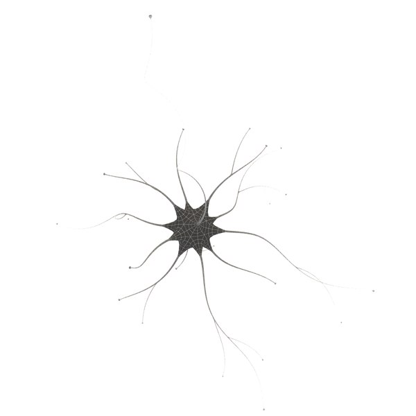 neuron cell animation ready 3d model
