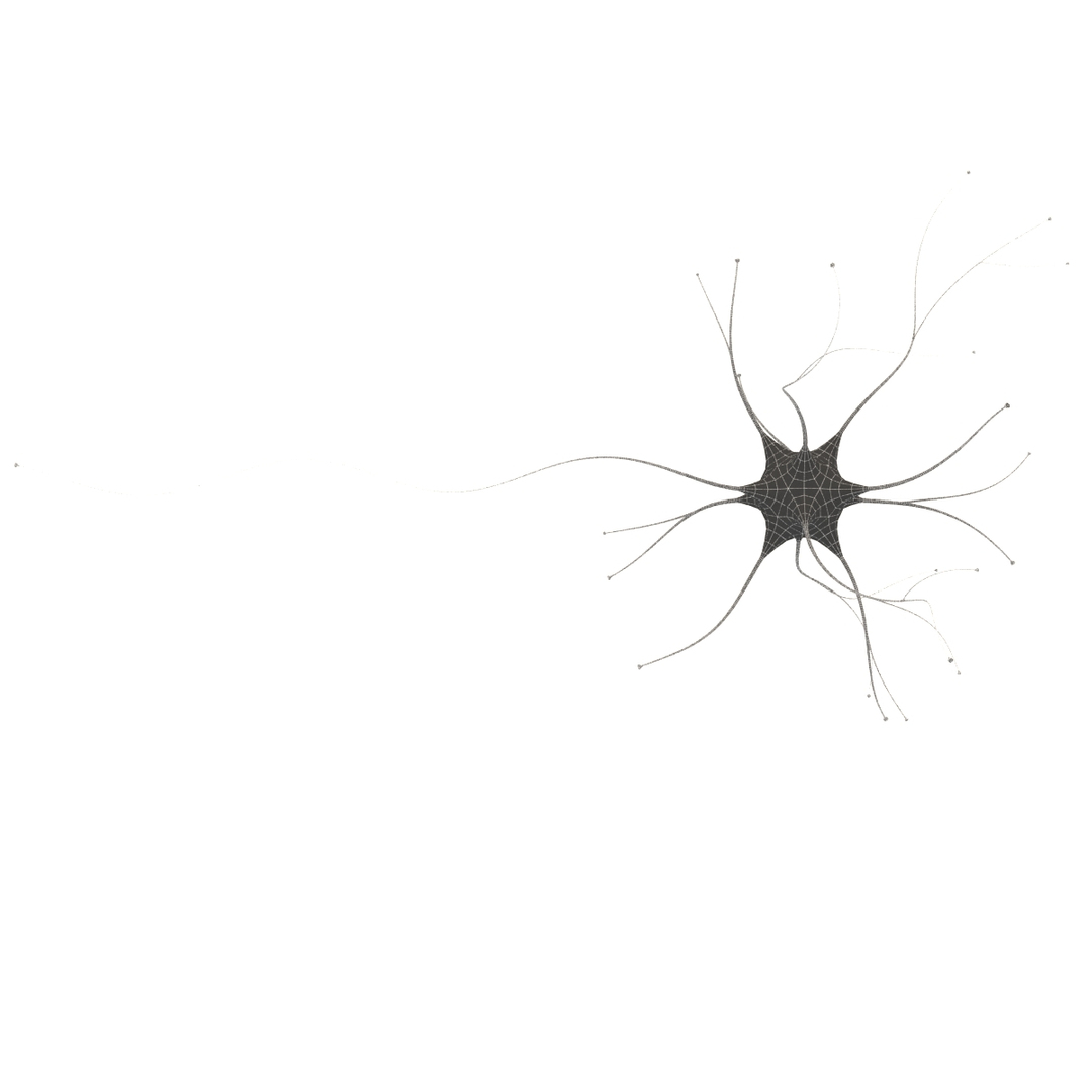 neuron cell animation ready 3d model
