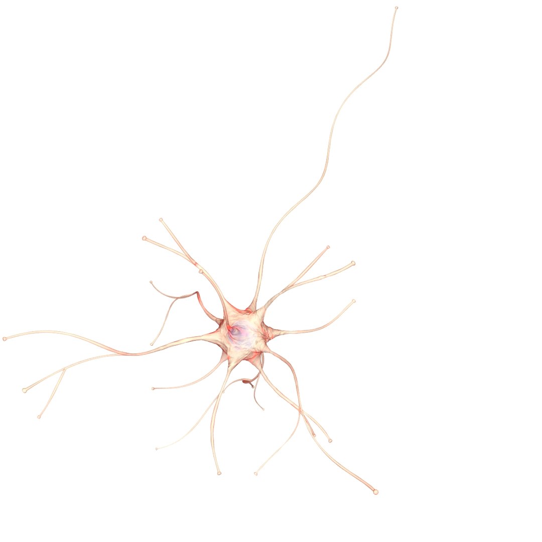 Neuron Cell Animation Ready 3d Model