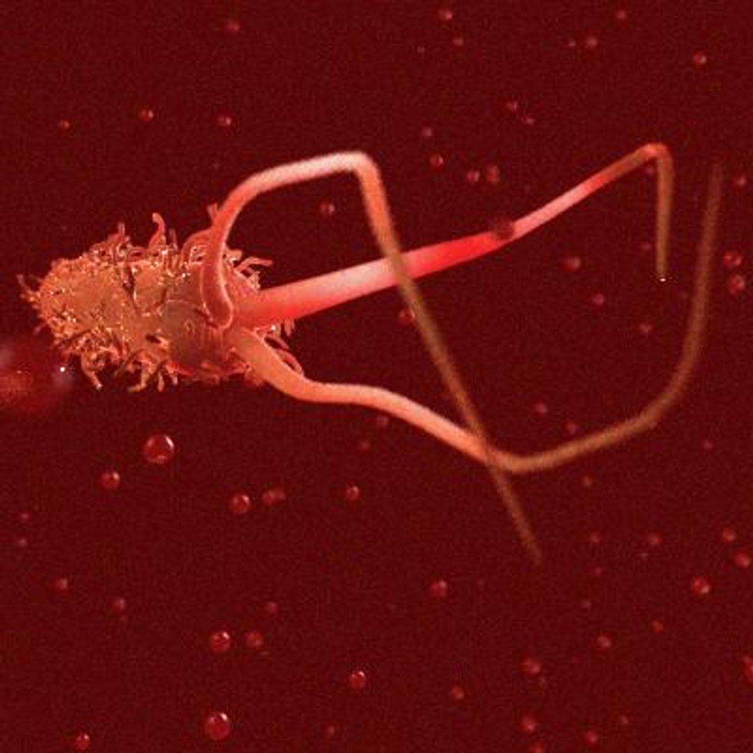 10 Micro Scenes 3d Model