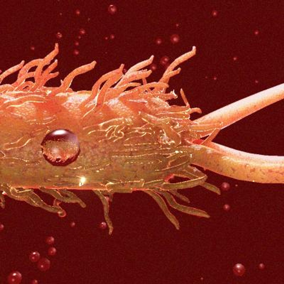 10 Micro Scenes 3d Model