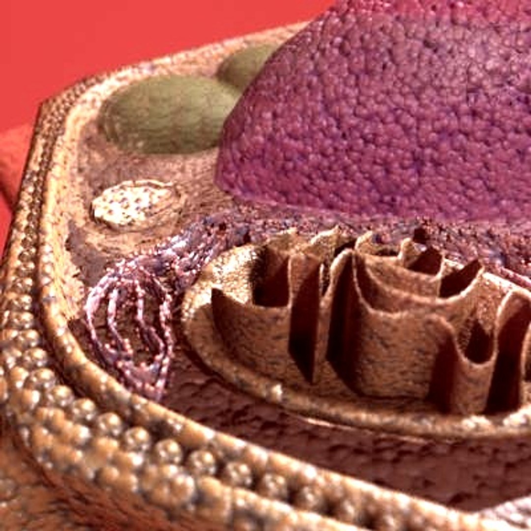 10 micro scenes 3d model